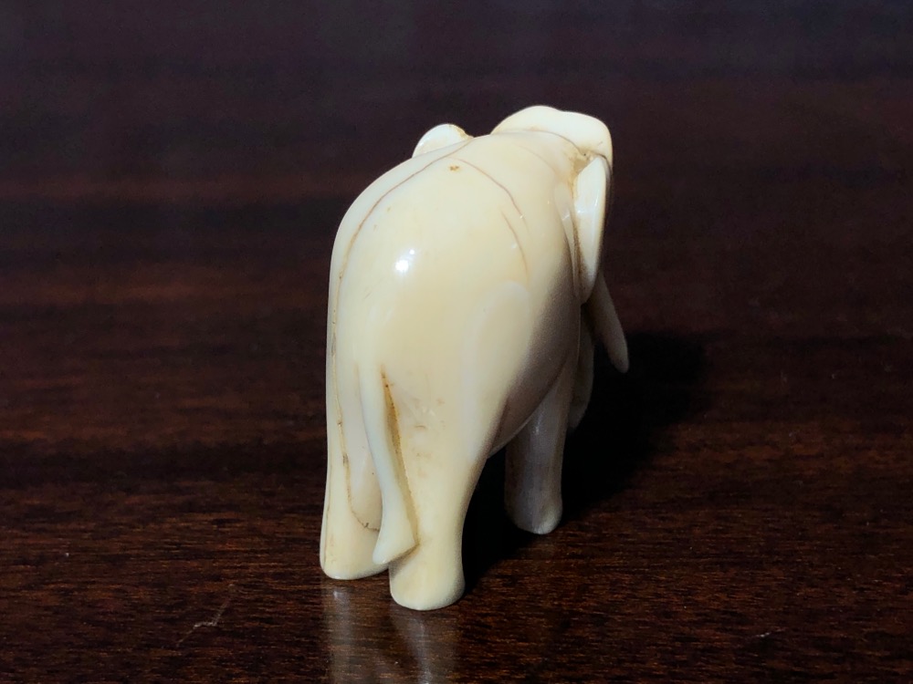 Small Ivory Elephant, Indian 19th century – Moorabool Antique Galleries