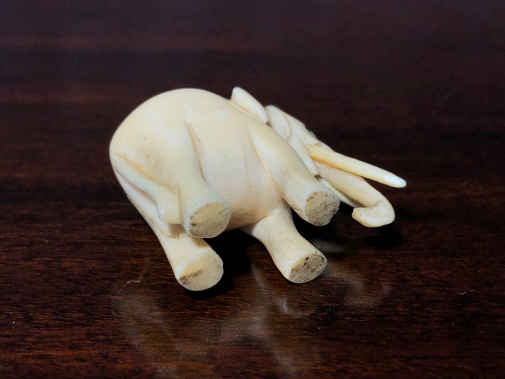 Small Ivory Elephant, Indian 19th century – Moorabool Antique Galleries