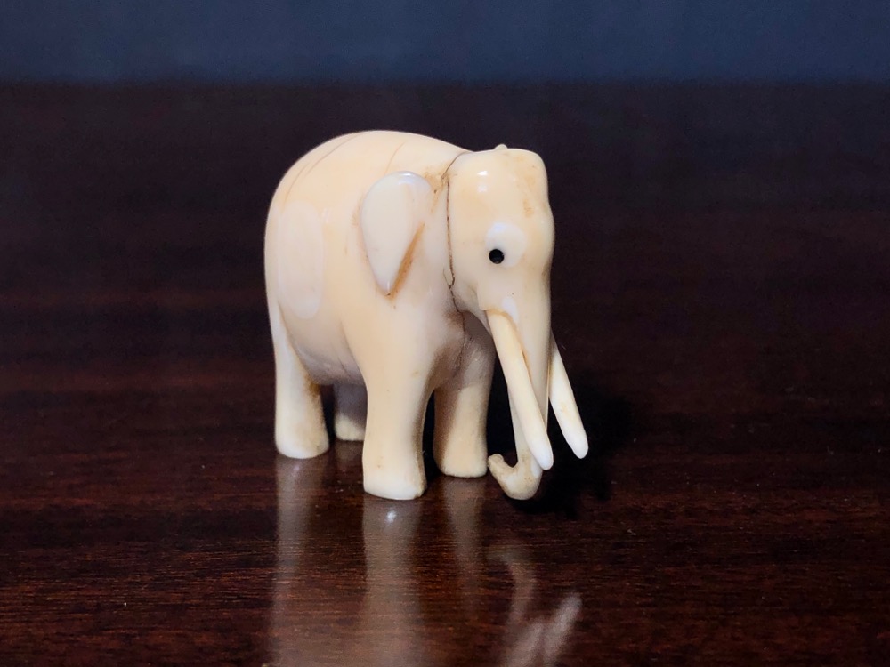 Small Ivory Elephant, Indian 19th century – Moorabool Antique Galleries