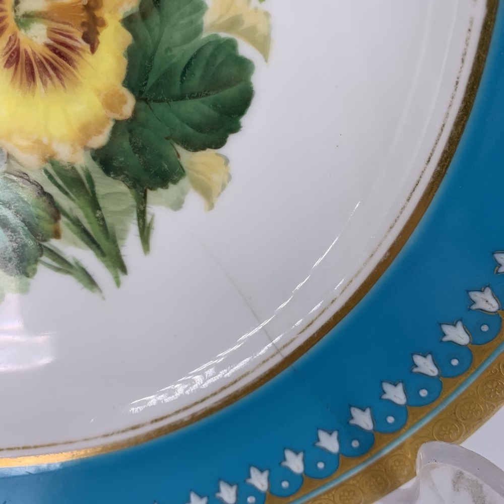 Minton turquoise botanical plate, 1863 pat. A6394 – Moorabool Antique ...