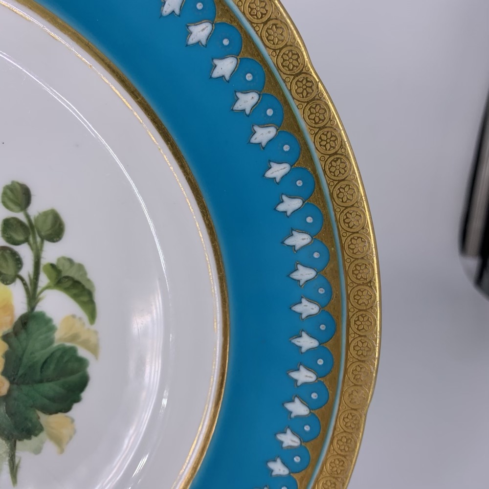 Minton turquoise botanical plate, 1863 pat. A6394 – Moorabool Antique ...