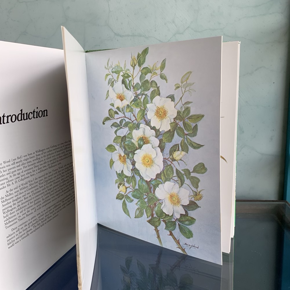 Hard cover book “DAISY WOOD, In harmony with nature” published 1975 ...