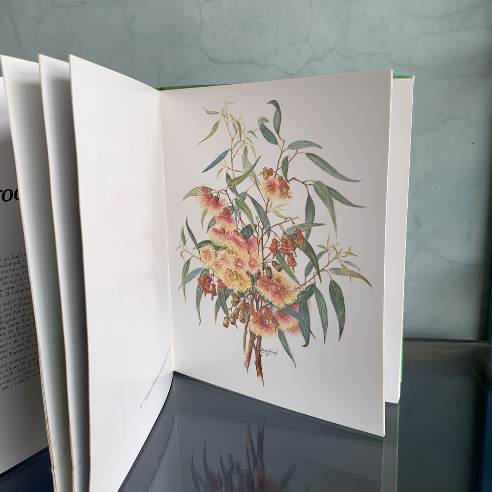 Hard cover book “DAISY WOOD, In harmony with nature” published 1975 ...