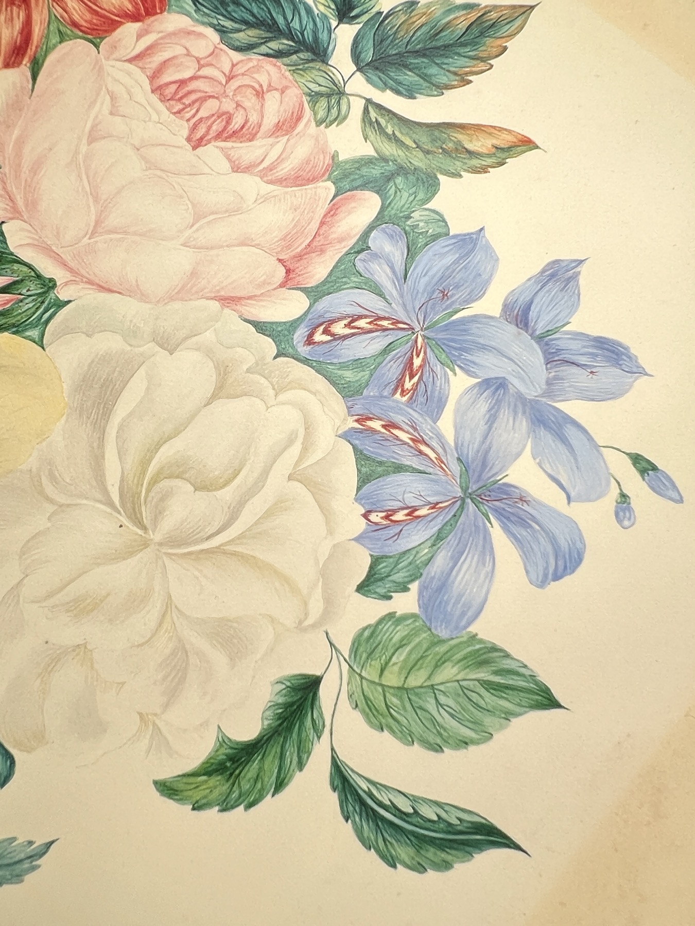 Early Victorian Watercolour of flowers, circa 1840 – Moorabool Antique ...