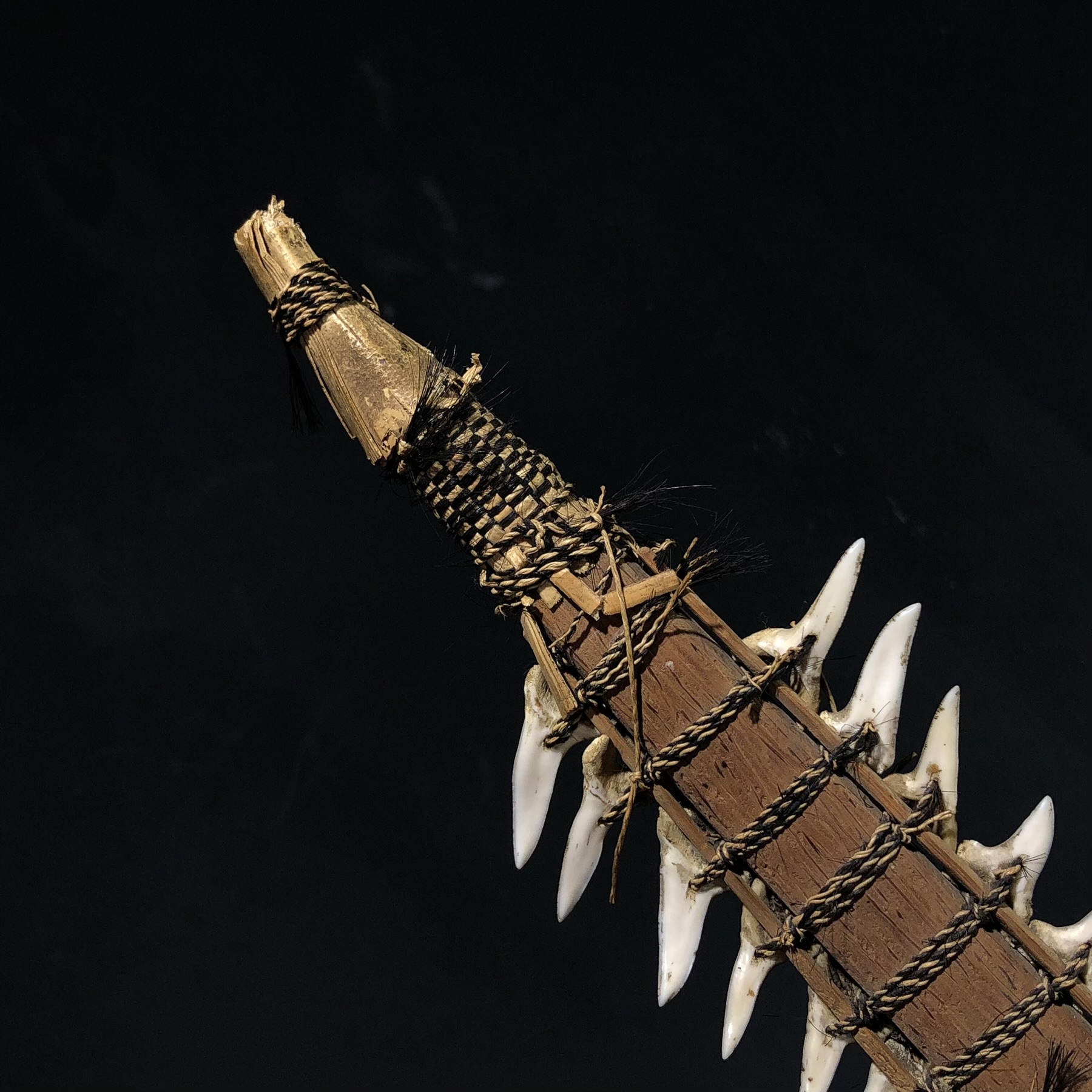 Gilbert Island shark tooth sword, 19th-early 20th century – Moorabool ...